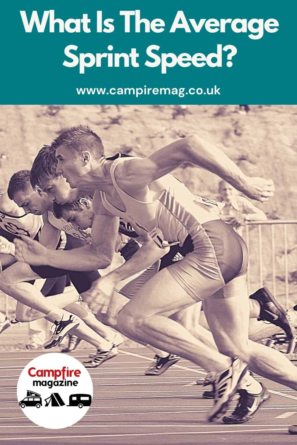 What Is The Average Sprint Speed Campfire Magazine