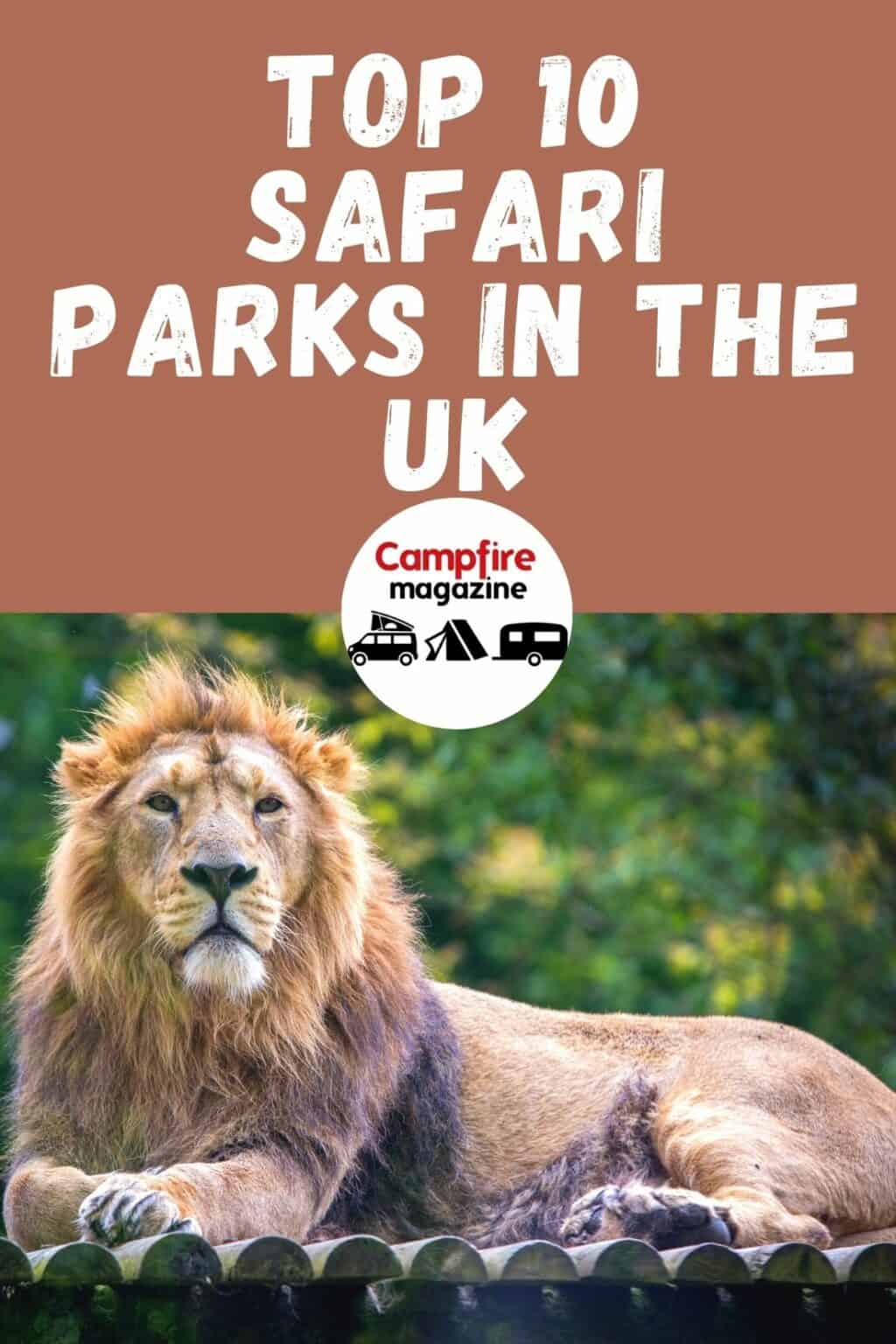 Top 10 Safari Parks In The UK! (Our Best Guide To See Animals From Your ...